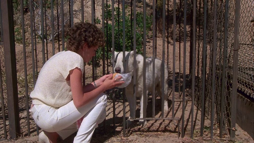 Daily Grindhouse | [MOVIE OF THE DAY] WHITE DOG (1982) - Daily Grindhouse